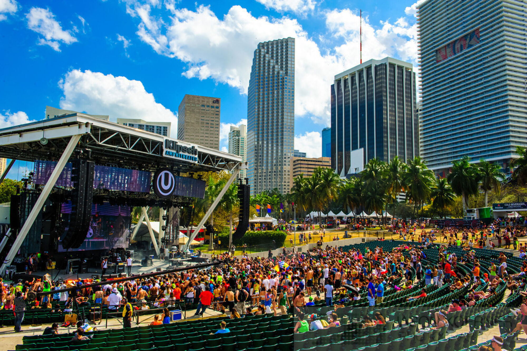 LN Premium - Build Your Experience